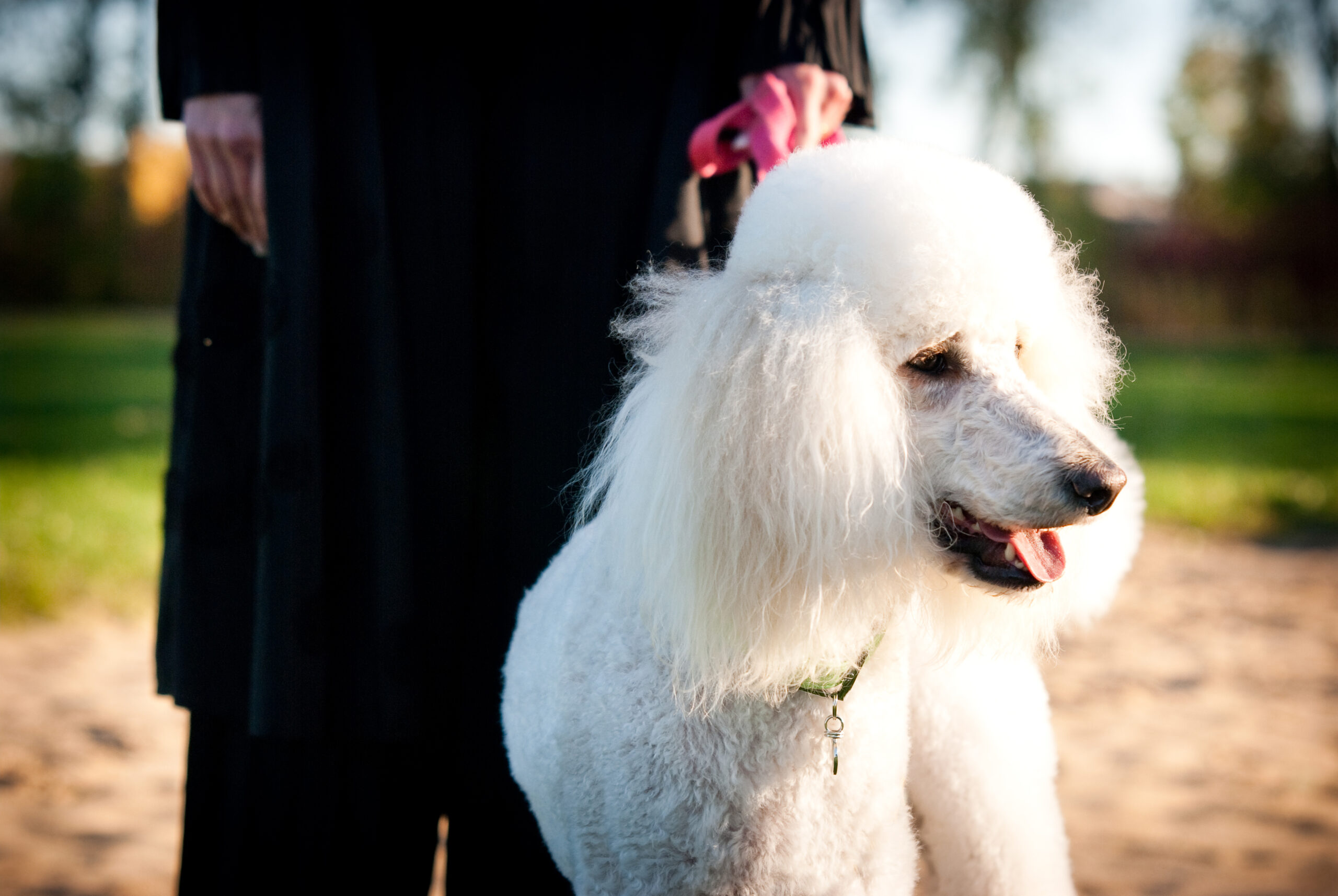 MISSION – OPCA Shelter Network Alliance